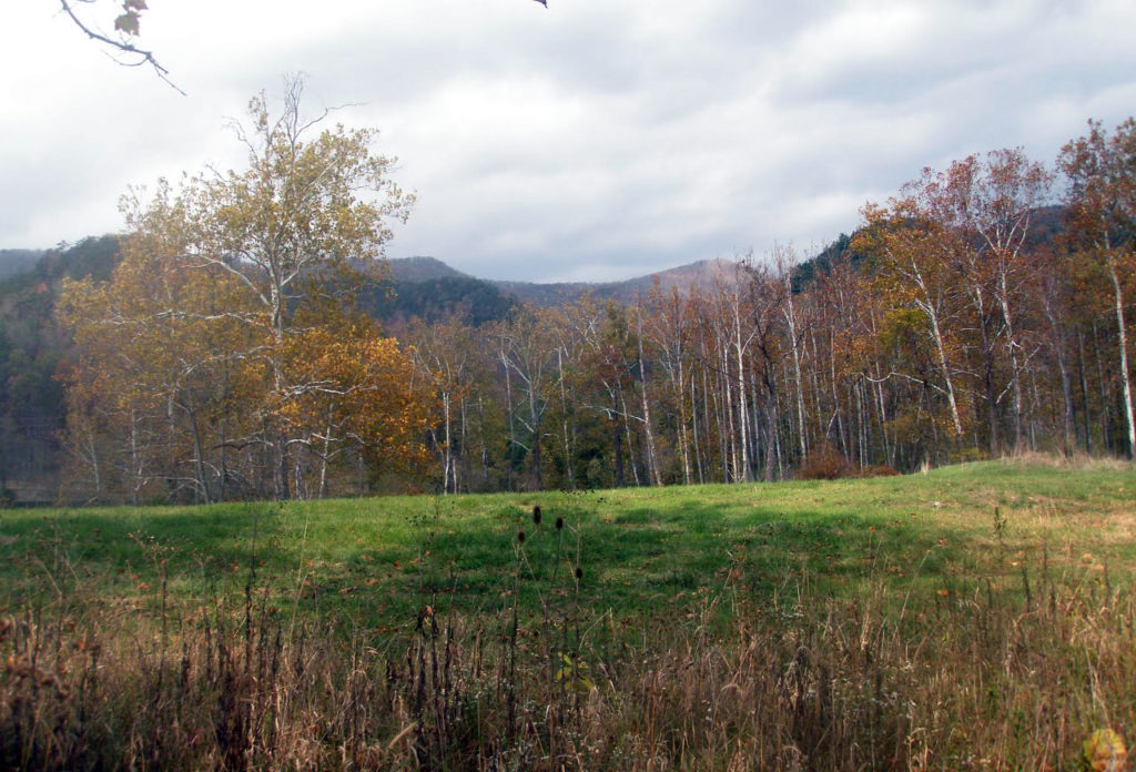 Back Creek - Shenandoah Valley Trout Unlimited
