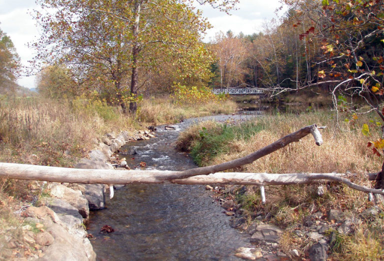 13 Great Trout Streams in the Shenandoah Valley