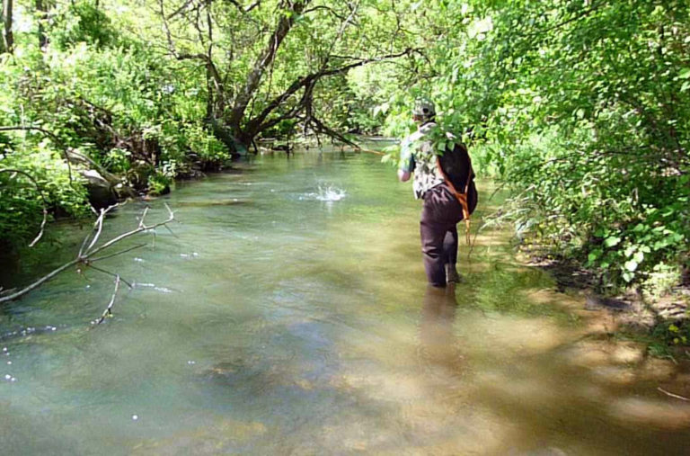 Beaver Creek - Shenandoah Valley Trout Unlimited