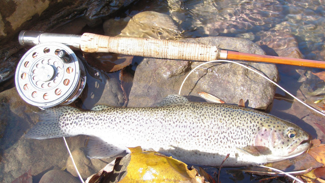 Jackson River - Shenandoah Valley Trout Unlimited